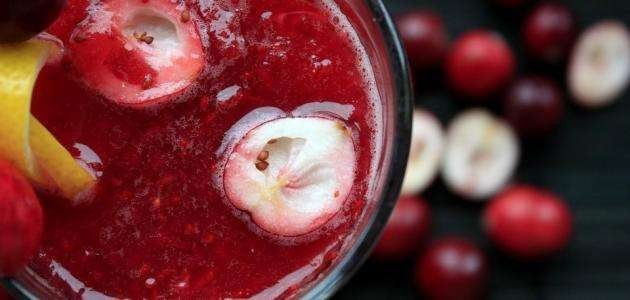 طريقة عمل صوص التوت البري..... تعرف على طرق عمل صوص التوت البري l "معلومات"