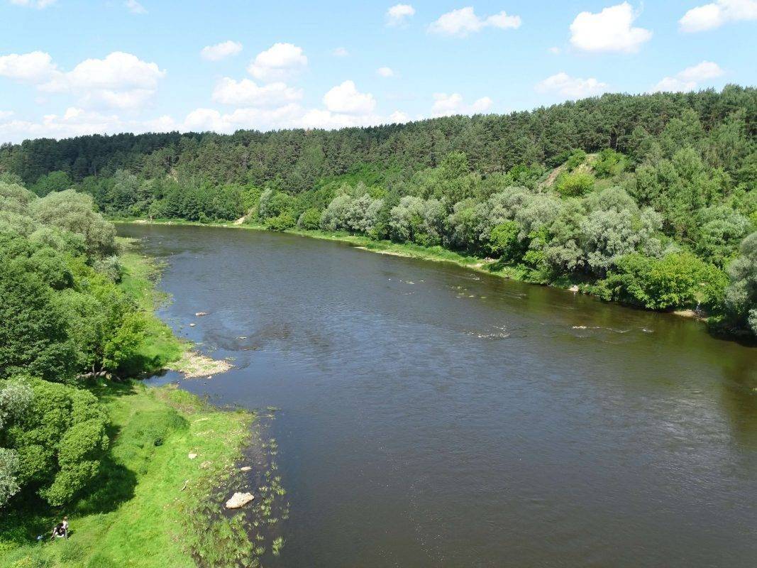 معلومات عن نهر نيمان - موقع المعلومات