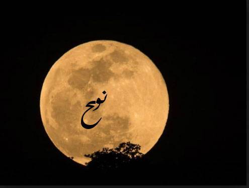 اسم نوح Archives - موقع المعلومات