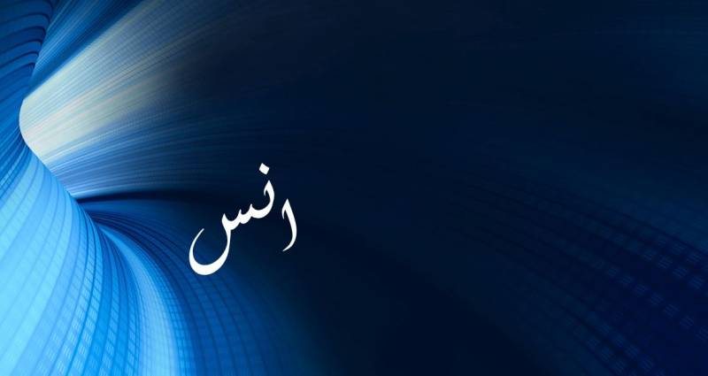 معني اسم أنس - موقع المعلومات